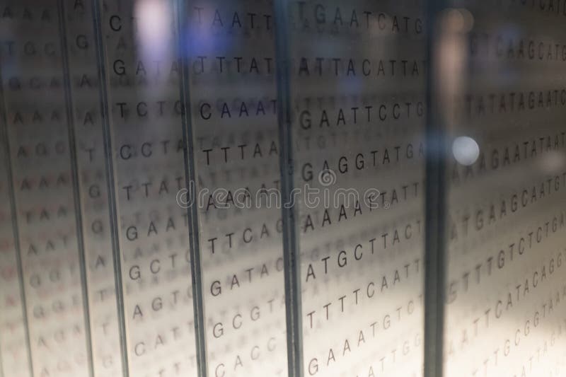 525 Codes Matrix Stock Photos - Free & Royalty-Free Stock Photos from ...