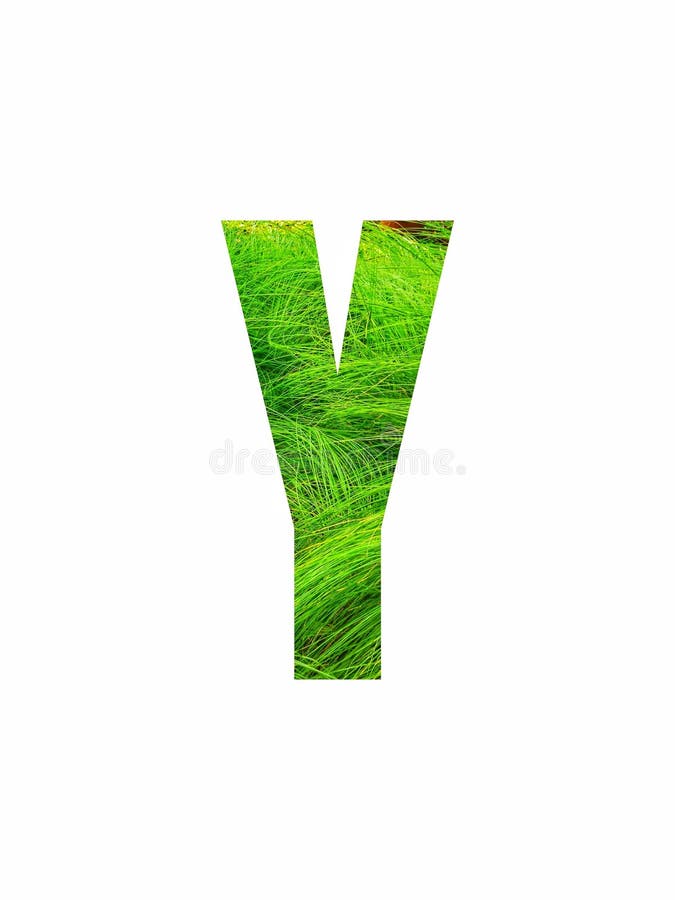 Capital Y Letter with Green Grass Texture, Isolated Stock Illustration ...