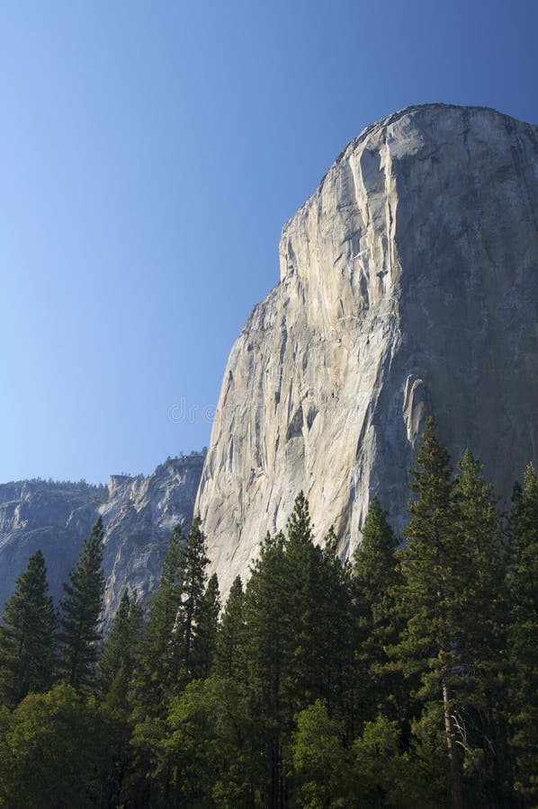 El Capitan View in Yosemite Nation Park Stock Photo - Image of nature ...
