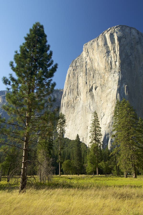 El Capitan, Big Wall, Yosemite Valley, National Park Stock Image ...