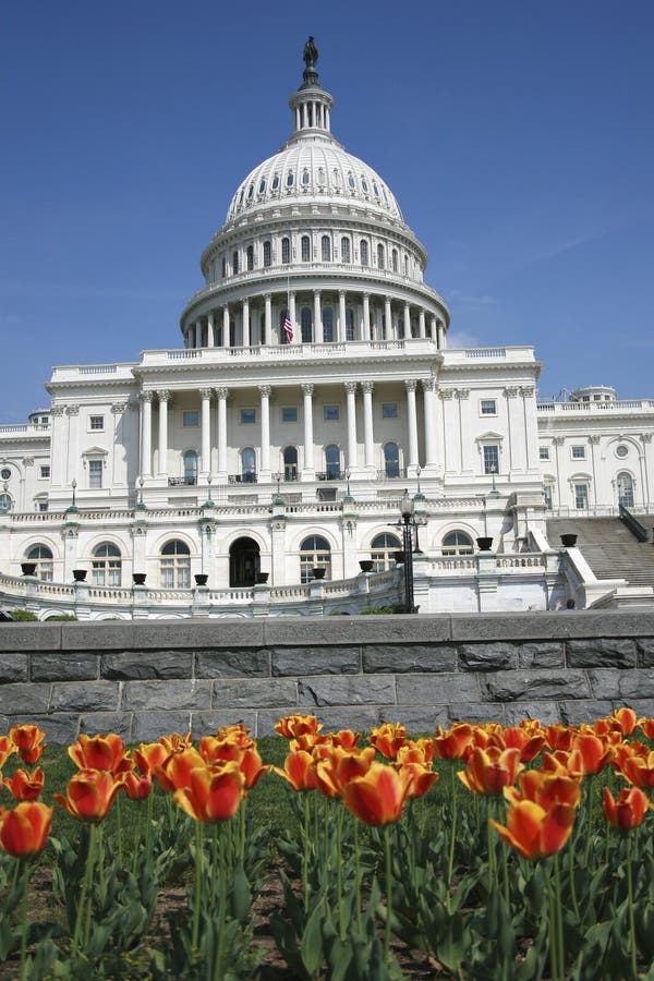 Capitol Building stock photo. Image of white, capitol - 3930776
