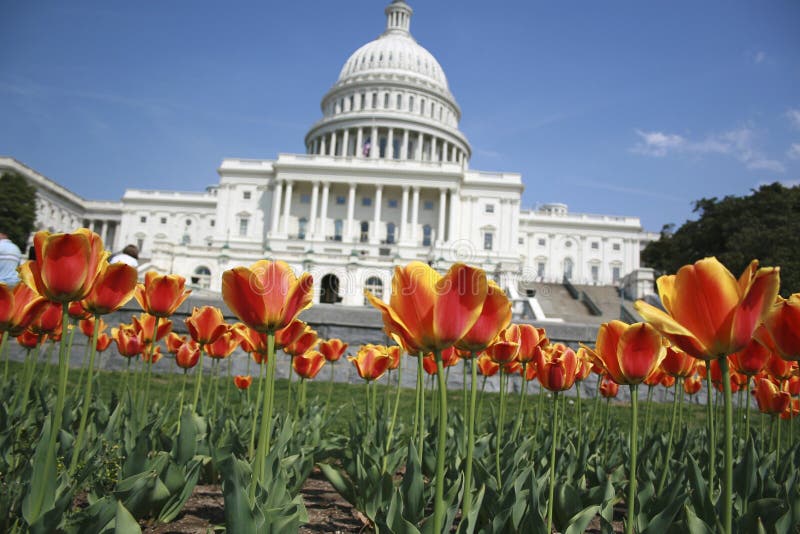 Capitol Building stock photo. Image of house, capitol - 3930788