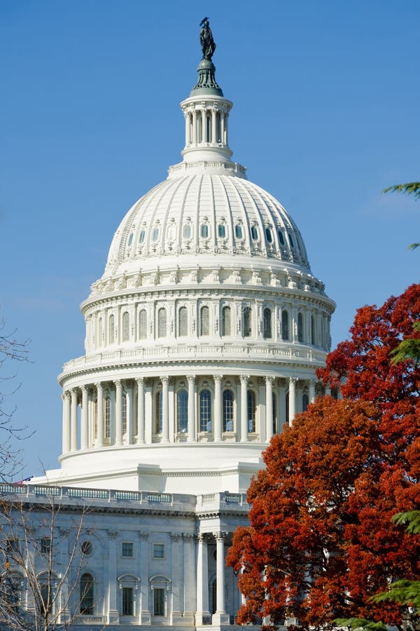 US Capitol building stock photo. Image of city, constitution - 15136484