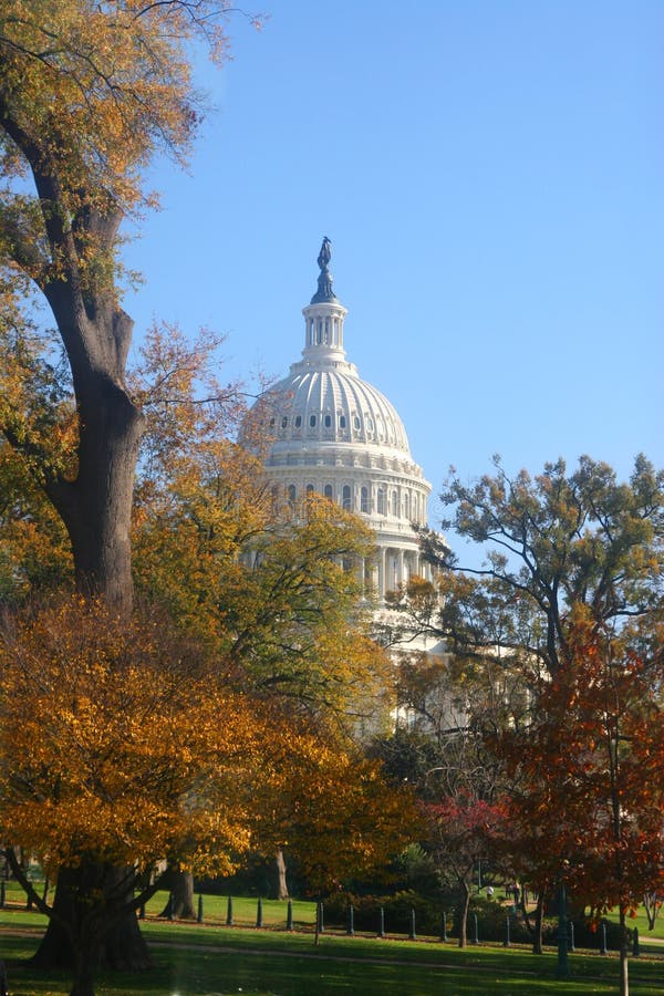 Capitol hill stock image. Image of autumn, washington - 1984007