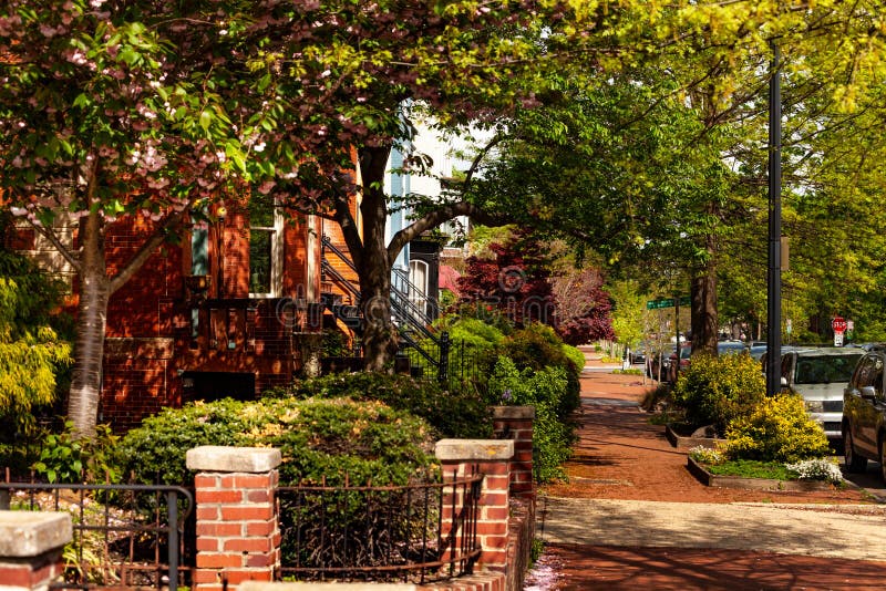 Capitol Hill Street View Washington, DC Stock Photo - Image of colorful ...