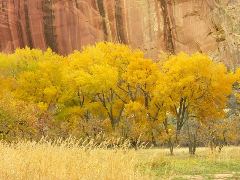 Capitol Reef National Park in a Fall, Utah Stock Photo - Image of ...