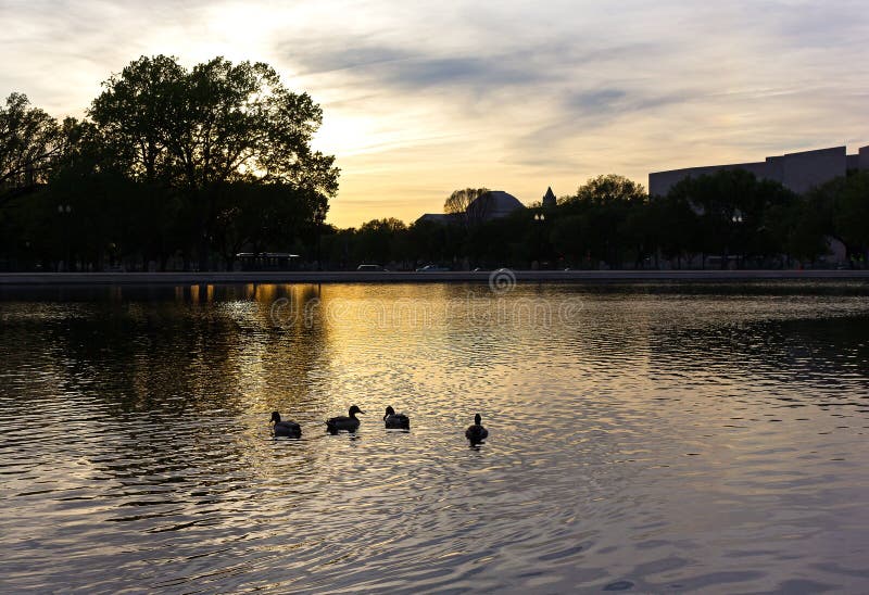 The Capitol Reflecting Pool at Sunset in Washington DC, USA. Stock ...