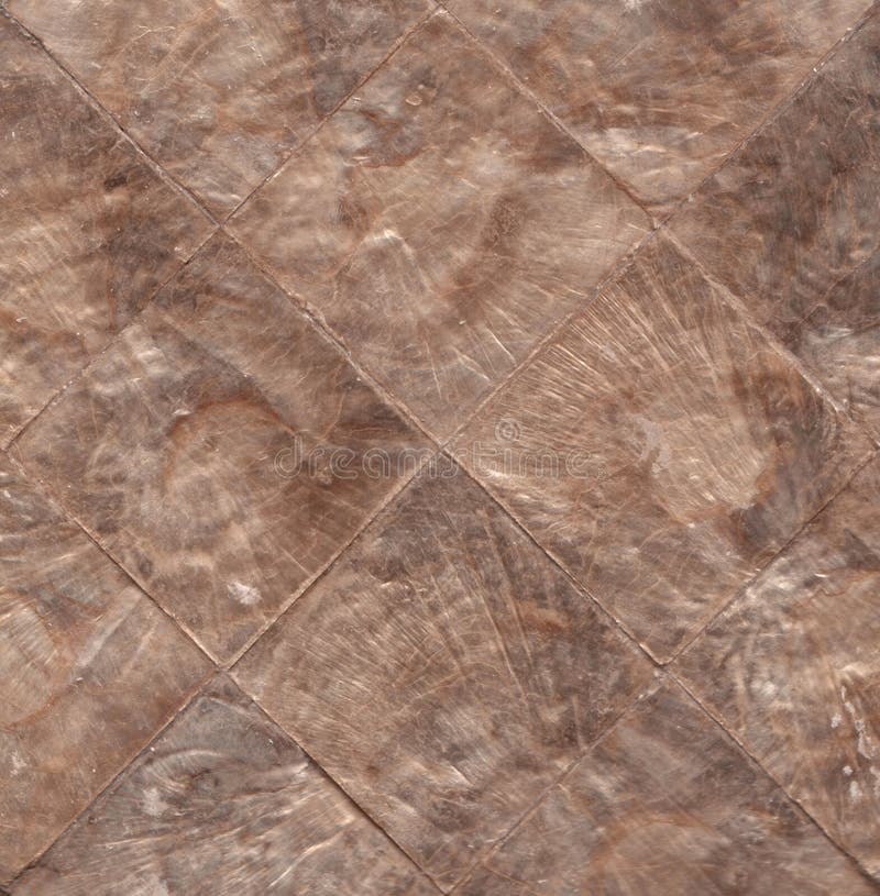 Capiz Sea Shell Texture Stock Photos - Free & Royalty-Free Stock Photos ...