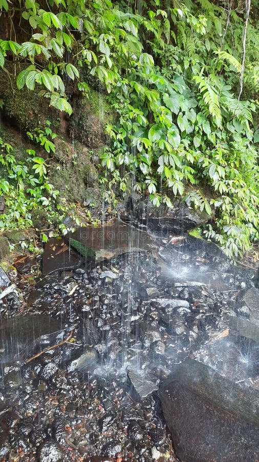 Capolaga Camping GrounD and Curug Stock Image - Image of forest, flower ...