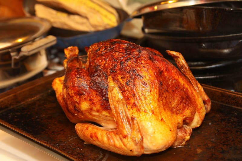 Capon stock image. Image of radish, year, meals, christmas - 84826265