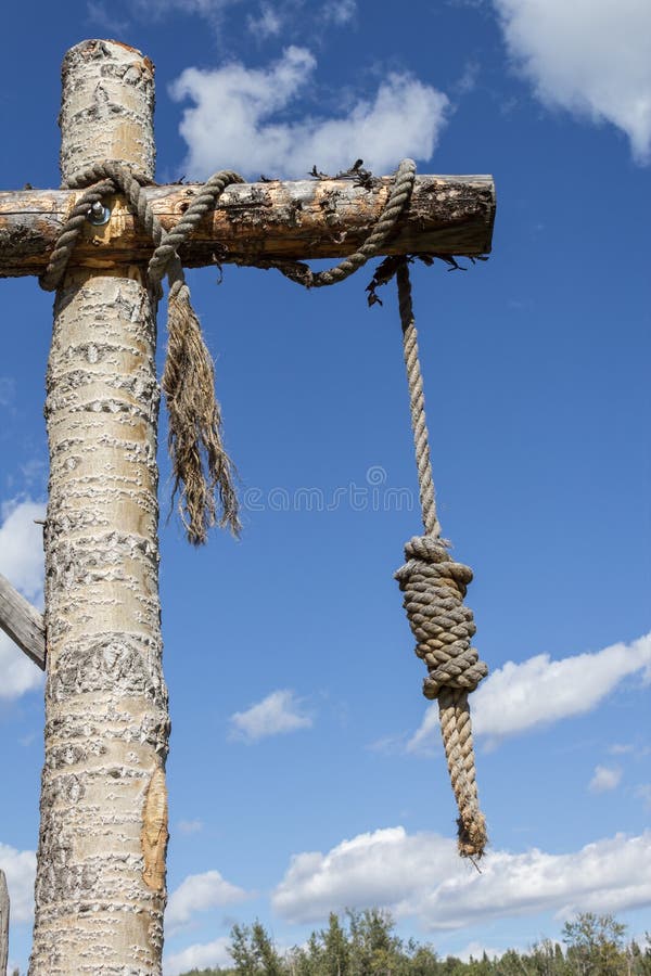 Cappio Della Corda Sul Cielo E Sull'albero Del Fondo Fotografia Stock ...