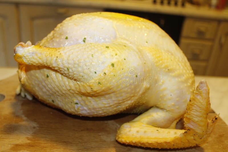 Cappone immagine stock. Immagine di alimento, uccello - 112357521