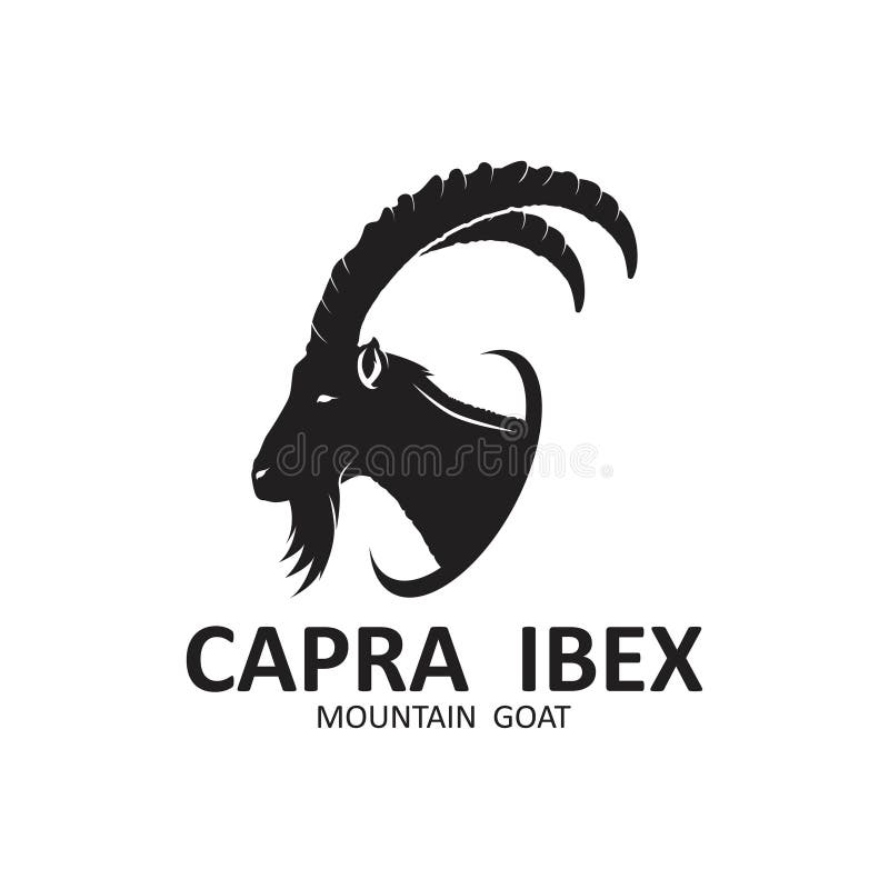 Capra Ibex Logo Vector Icon Illustration Design Template Stock Vector ...