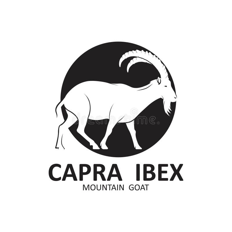 Capra Ibex Logo Vector Icon Illustration Design Template Stock Vector ...