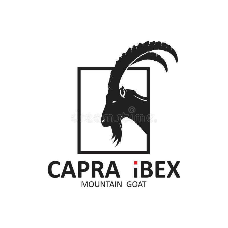 Capra Ibex Logo Vector Icon Illustration Design Template Stock Vector ...