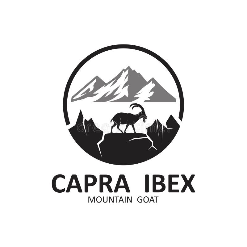 Capra Ibex Logo Vector Icon Illustration Design Template Stock Vector ...