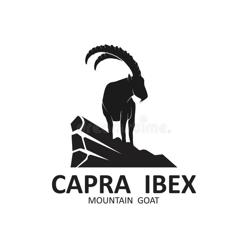 Capra Ibex Logo Vector Icon Illustration Design Template Stock Vector ...