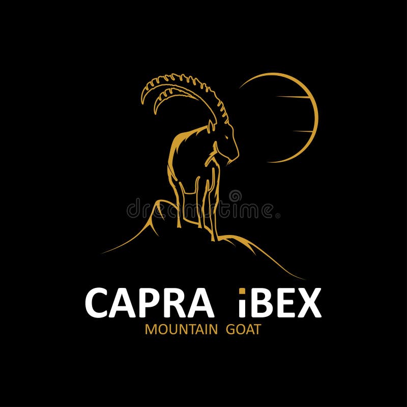 Capra Ibex Logo Vector Icon Illustration Design Template Stock Vector ...