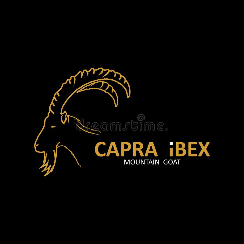 Capra Ibex Logo Vector Icon Illustration Design Template Stock Vector ...