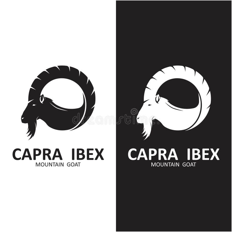 Capra Ibex Logo Vector Icon Illustration Design Template Stock Vector ...
