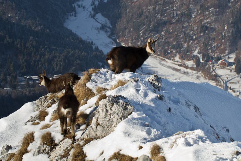 Il Turista Nel Nero Sta Stando Sul Punto Di Vista Roccioso E Sta ...