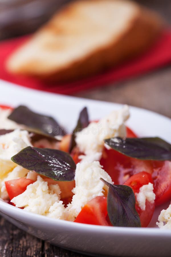 Caprese stock photo. Image of appetizer, caprese, vegetable - 25590222