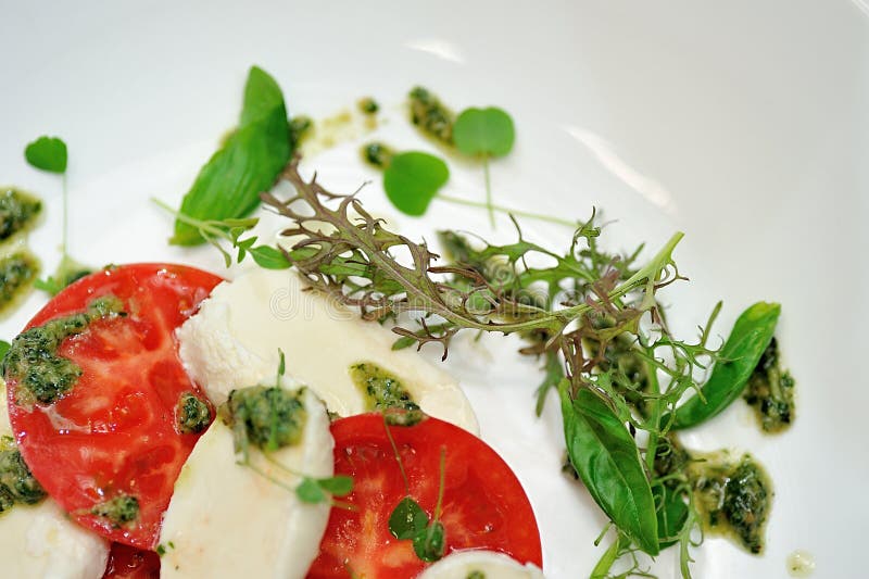 The Caprese salad stock photo. Image of health, arugula - 73293406