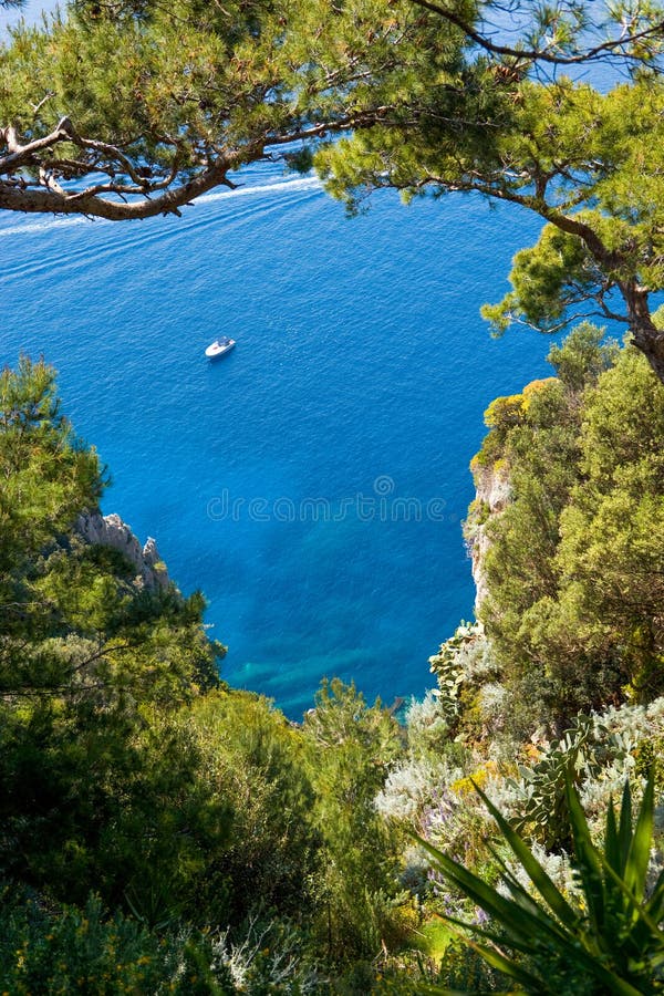 Capri stock image. Image of capri, nature, campania, italy - 84108253