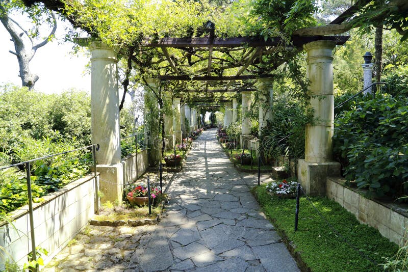 568 Capri Gardens Stock Photos - Free & Royalty-Free Stock Photos from ...