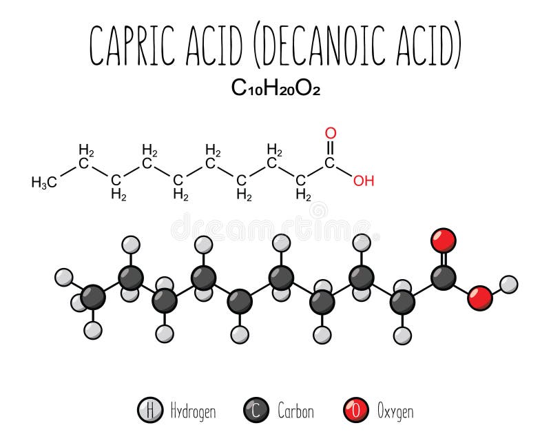 Capric Acid, Decanoic Acid or Decylic Acid Molecule. it is Saturated ...