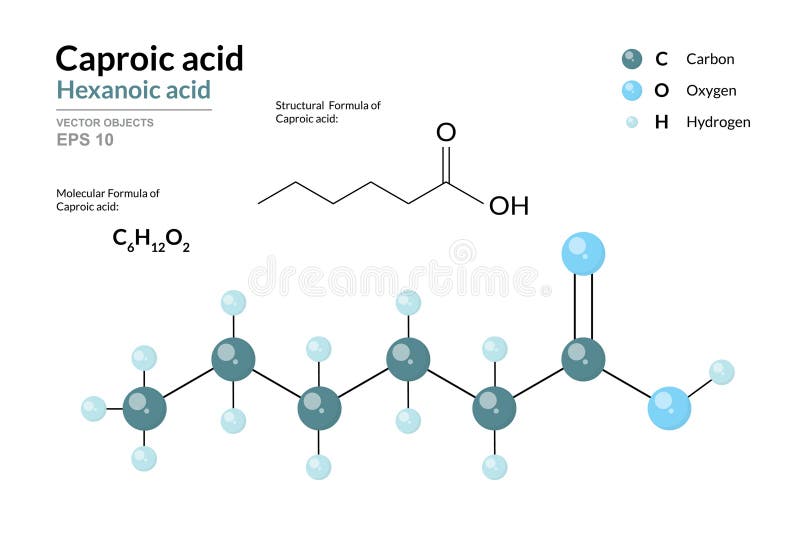 Caproic Acid. Hexanoic Acid. Structural Chemical Formula and 3d Model ...