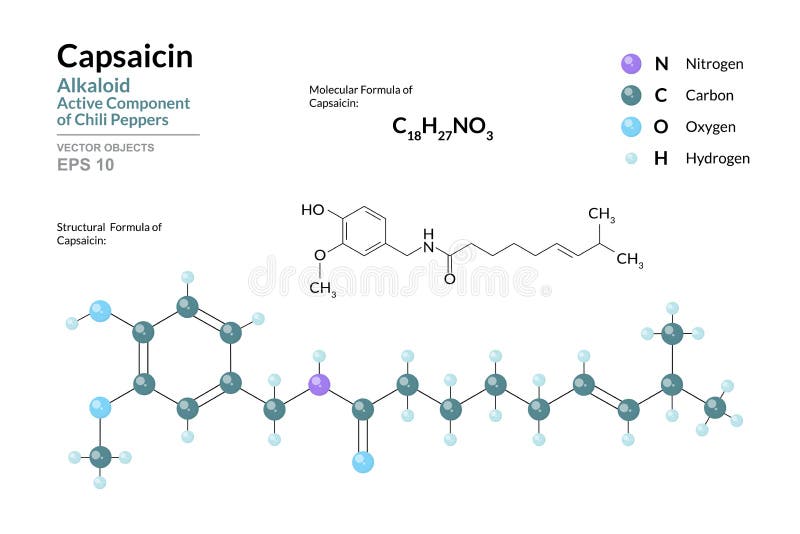 Capsaicin Molecule Structure Illustration. Stock Illustration ...