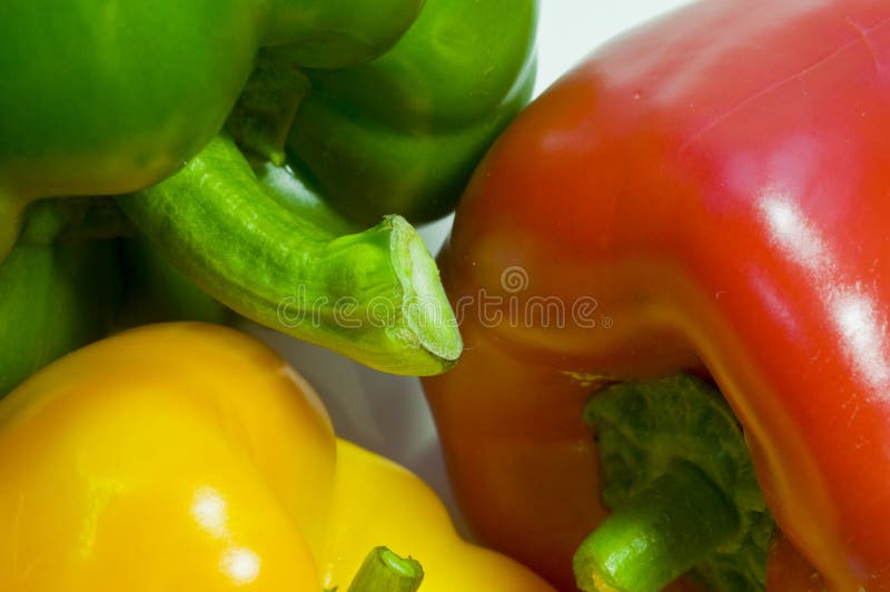 Capsicum 1 stock image. Image of colors, capsicum, colours - 6445275