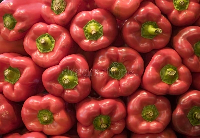 Capsicum stock photo. Image of fruit, pepper, stack, bundle - 14859746