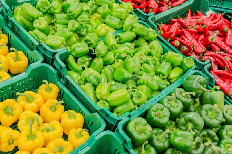 Capsicum stock photo. Image of colorful, chili, colored - 27929190