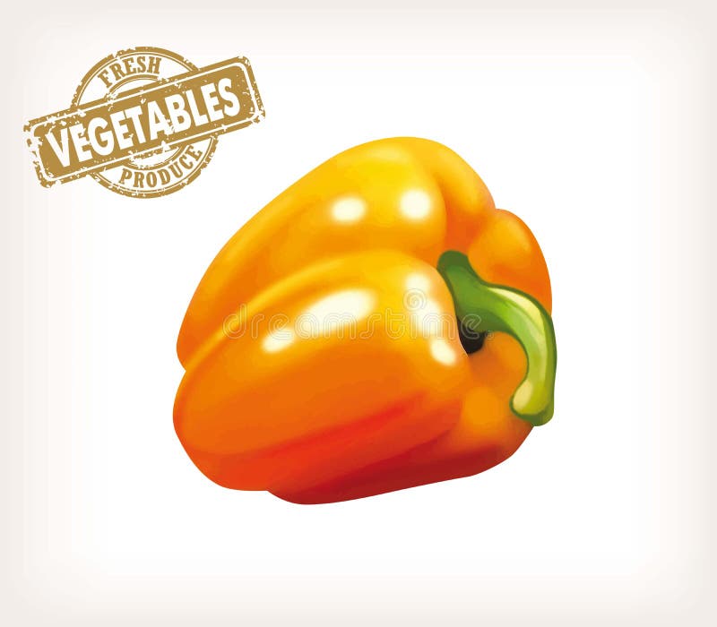 Capsicum Annuum Stock Illustrations – 222 Capsicum Annuum Stock ...