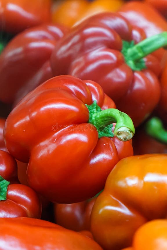 Capsicum or Bell Pepper stock photo. Image of mixed - 324790494