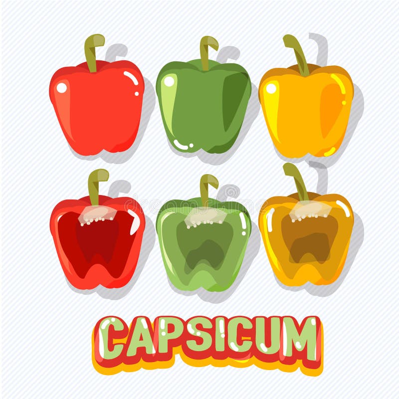 Capsicum Stock Illustrations – 4,733 Capsicum Stock Illustrations ...
