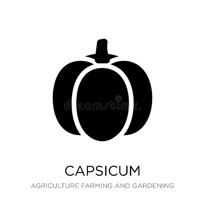 Capsicum Icon in Trendy Design Style. Capsicum Icon Isolated on White ...