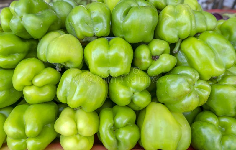 Mirch Plants Stock Photos - Free & Royalty-Free Stock Photos from ...