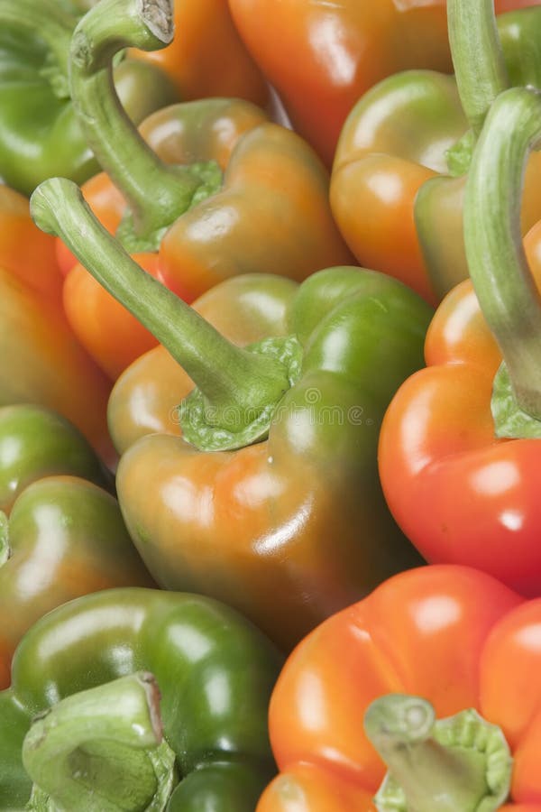Capsicum texture. stock photo. Image of capsicum, ingredient - 21690148