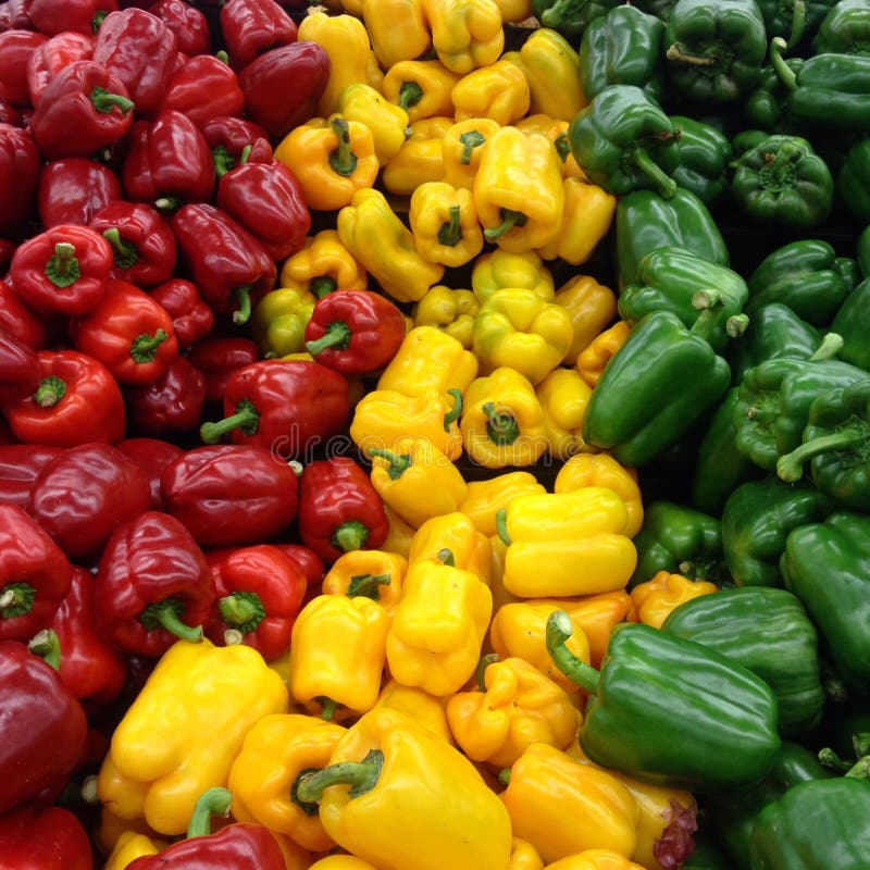 Capsicum stock photo. Image of food, capsicum, natural - 62526074