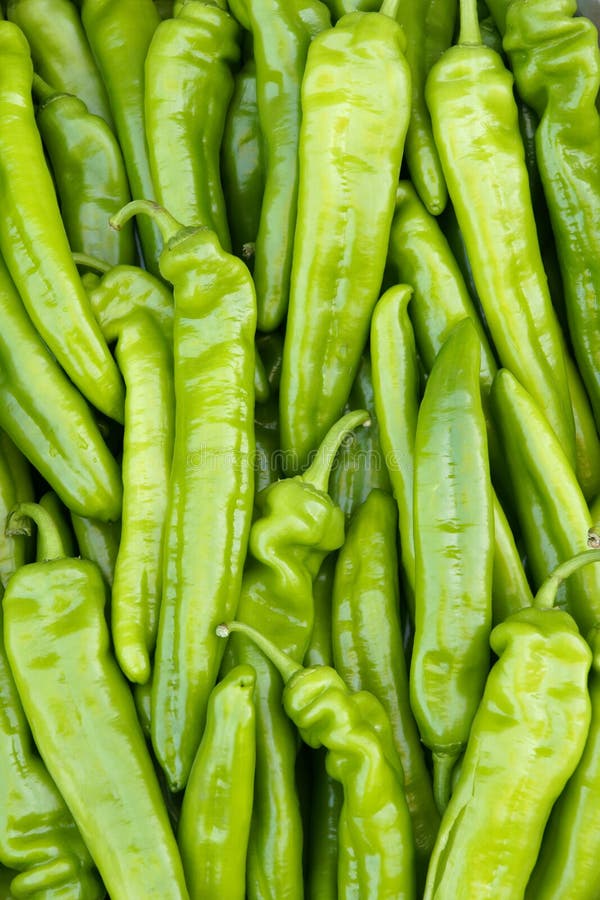Capsicums stock image. Image of cayenne, pimientos, healthy - 16569329