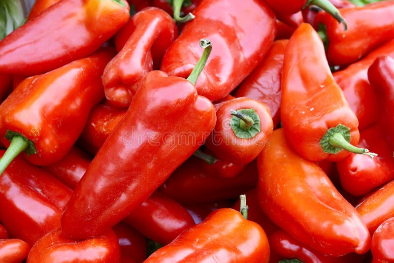 Capsicums stock image. Image of vegetarian, greenstuffs - 16933963