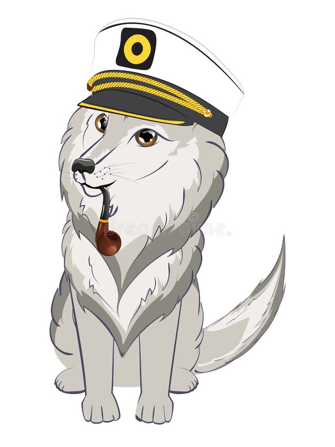 Captain Wolf Illustration stock vector. Illustration of design - 95563624