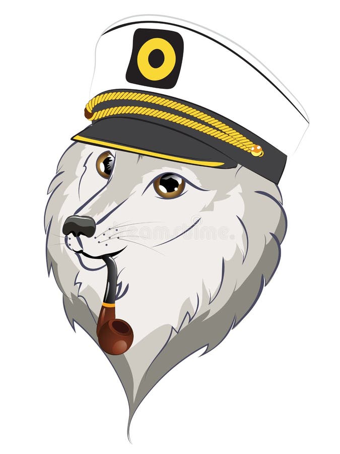 Captain Wolf Illustration stock vector. Illustration of design - 95563624