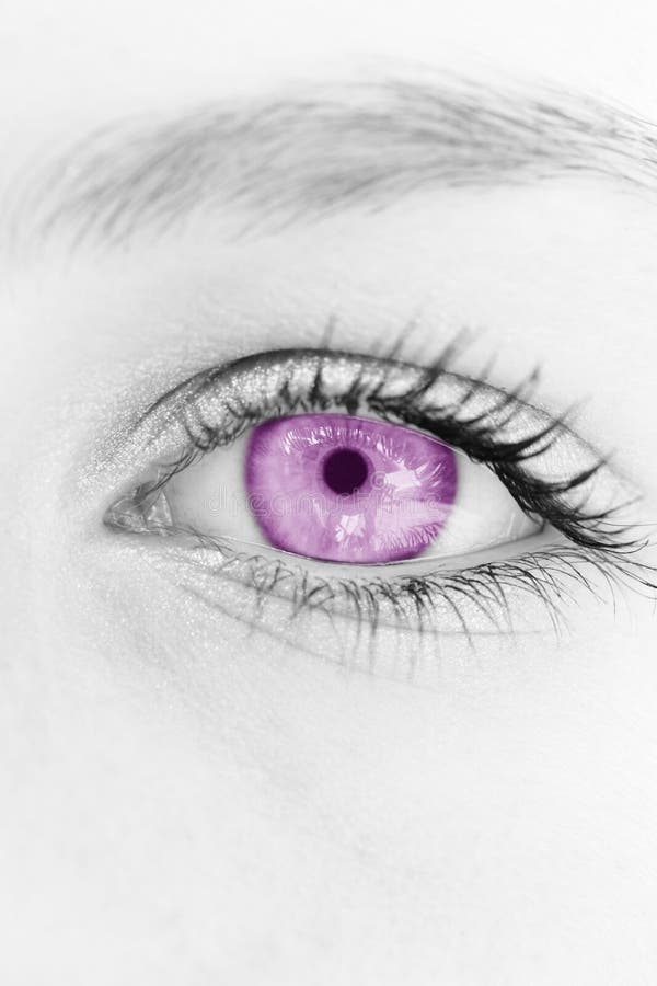 Captivate stock photo. Image of attract, hypnotise, mesmerise - 1410084