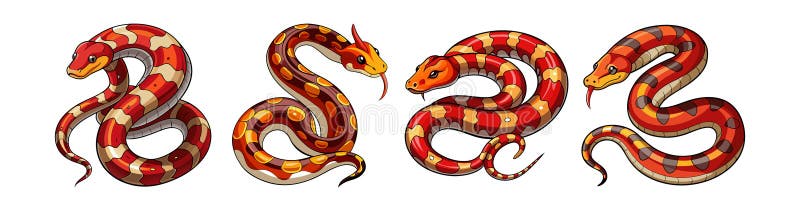 Realistic Borneo Blood Python Illustration Stock Vector - Illustration ...