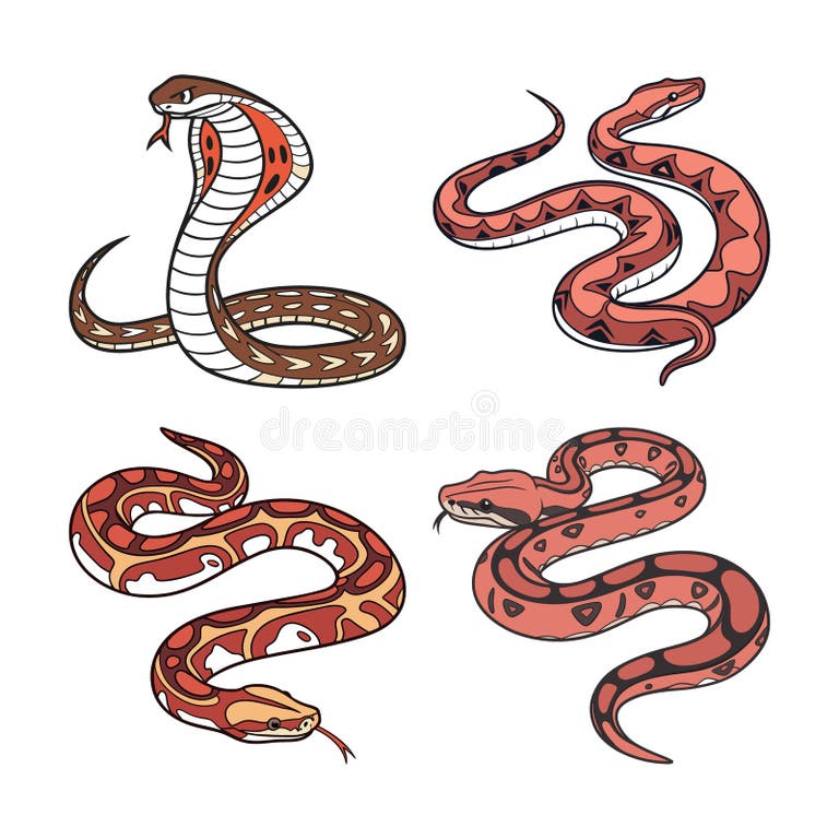Realistic Borneo Blood Python Illustration Stock Vector - Illustration ...