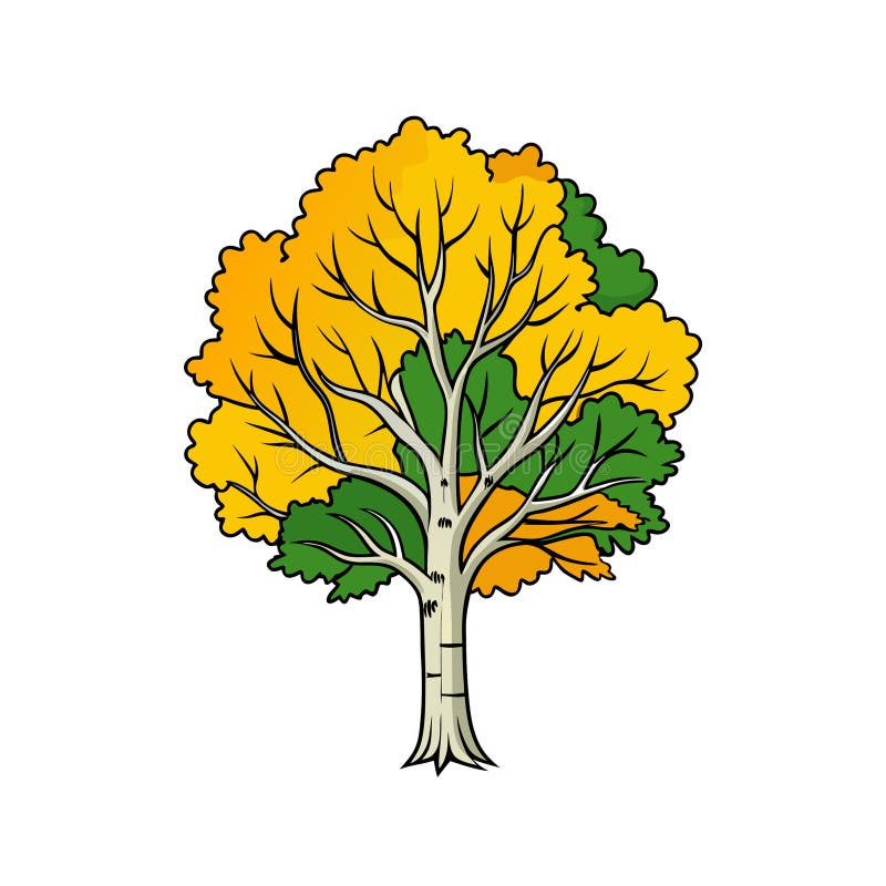 Aspen Tree Design with Bold Outline Stock Illustration - Illustration ...